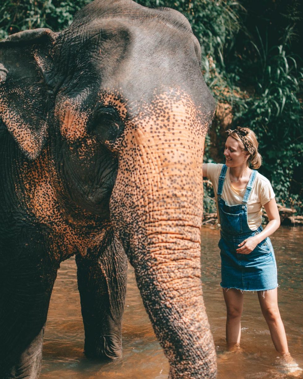 Volunteering at the Elephant Freedom Project in Sri Lanka