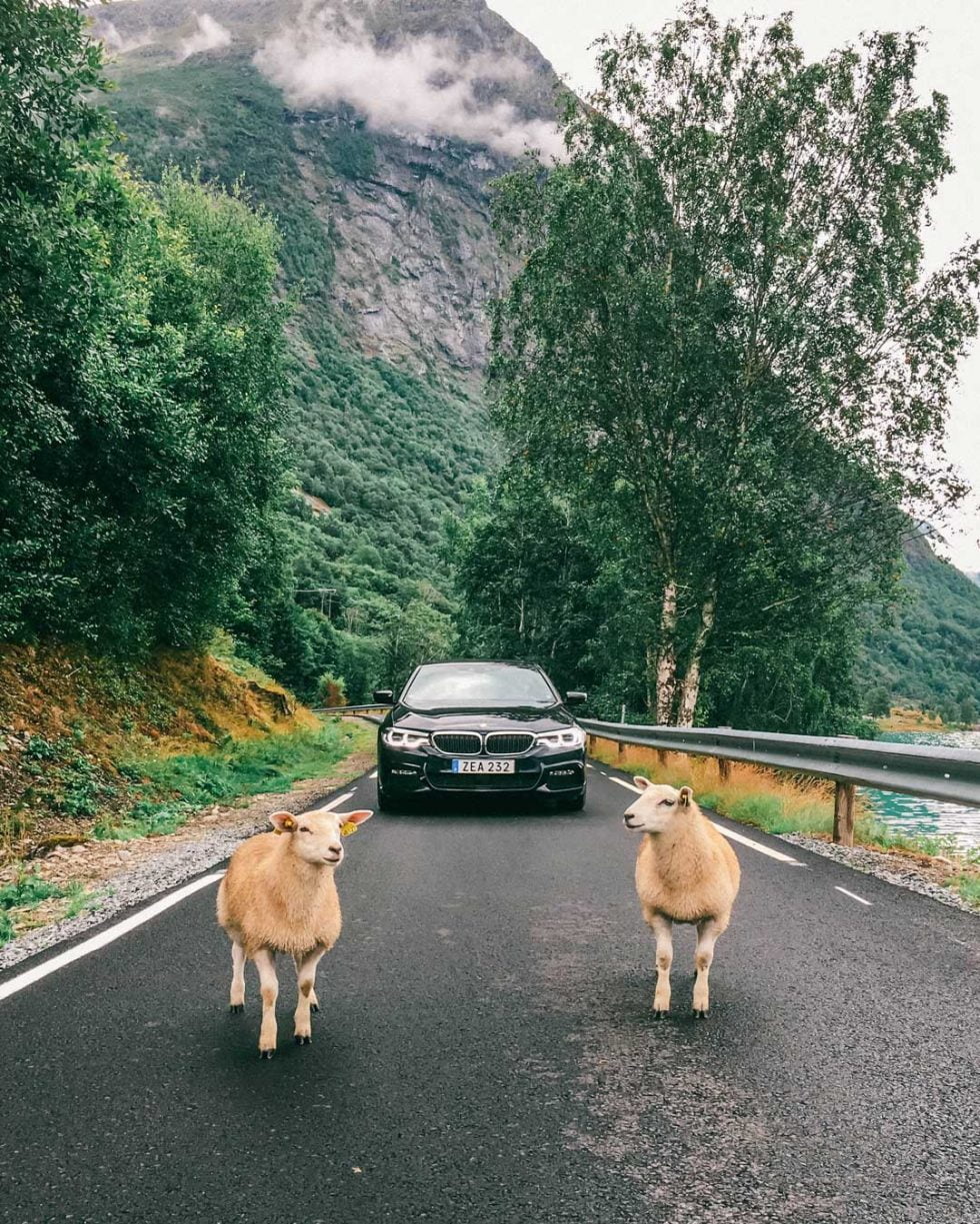 Norway Road Trip: The Ultimate 7-Day Itinerary (2025)