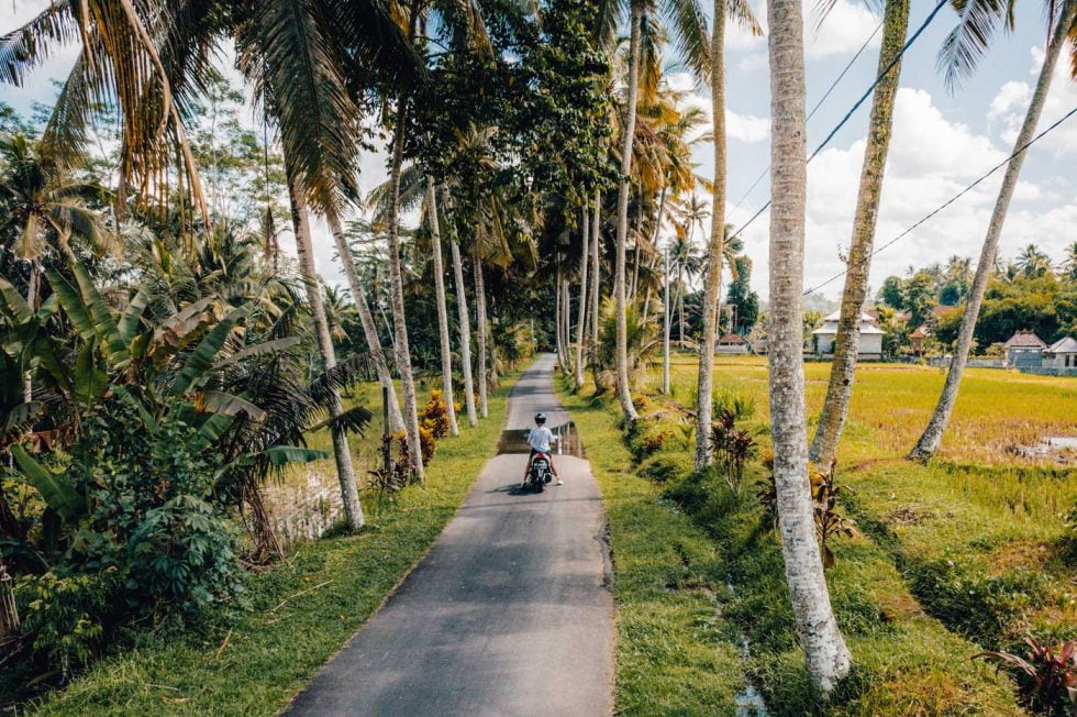 5 Best Ubud Waterfalls: Perfect 2025 Itinerary